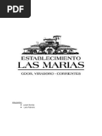 Circuito de la Yerba Mate | PDF | Té