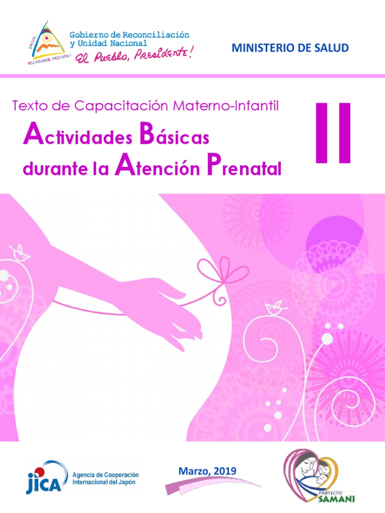 II. HCP (Final) PDF | PDF | El embarazo | Índice de masa corporal