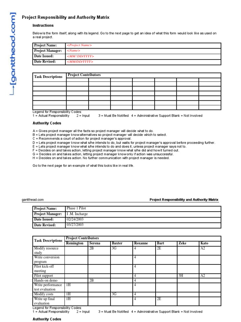 Project Responsibility and Authority Matrix | PDF | Computing | Business