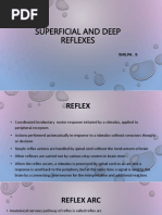 Toronto Clinical Neuropathy Scoring System | PDF | Peripheral ...