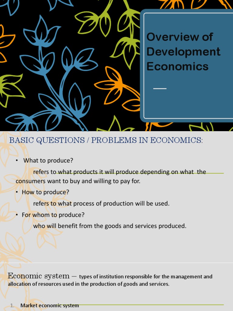 Overview of Development Economics | PDF | Economic System | Economics