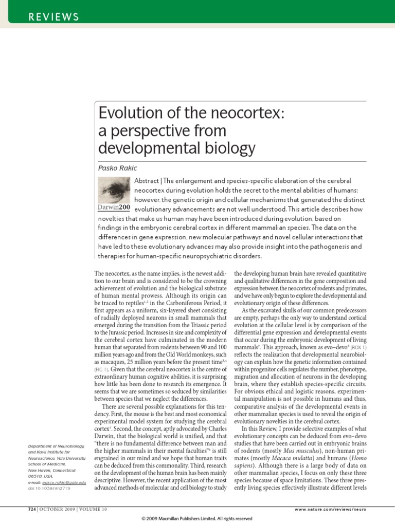 Evolution of The Neocortex: A Perspective From Developmental Biology ...