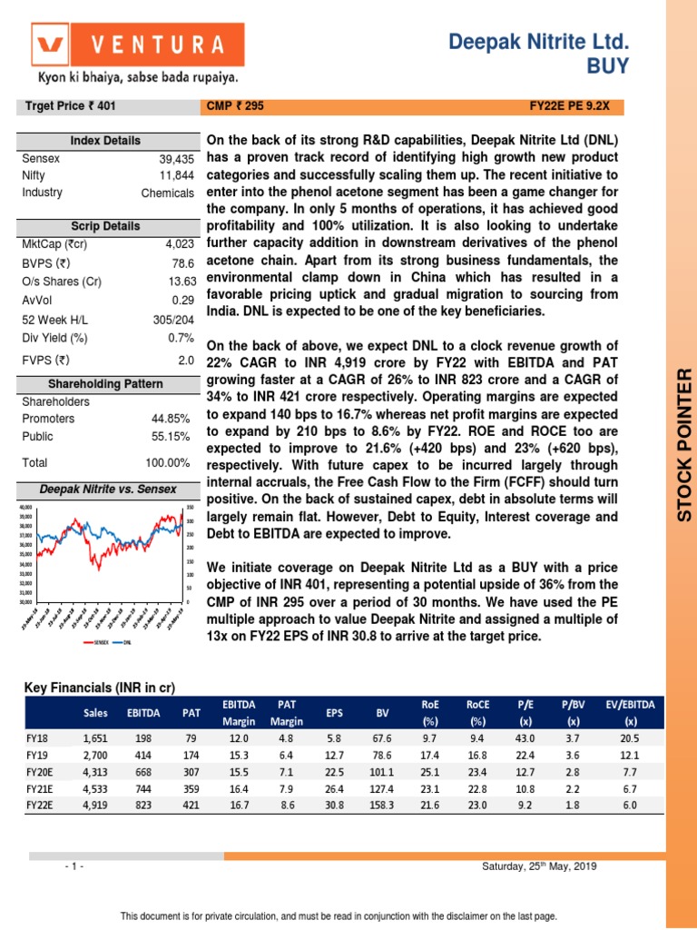 Deepak Nitrite - Final | PDF | Fine Chemical | Chemicals