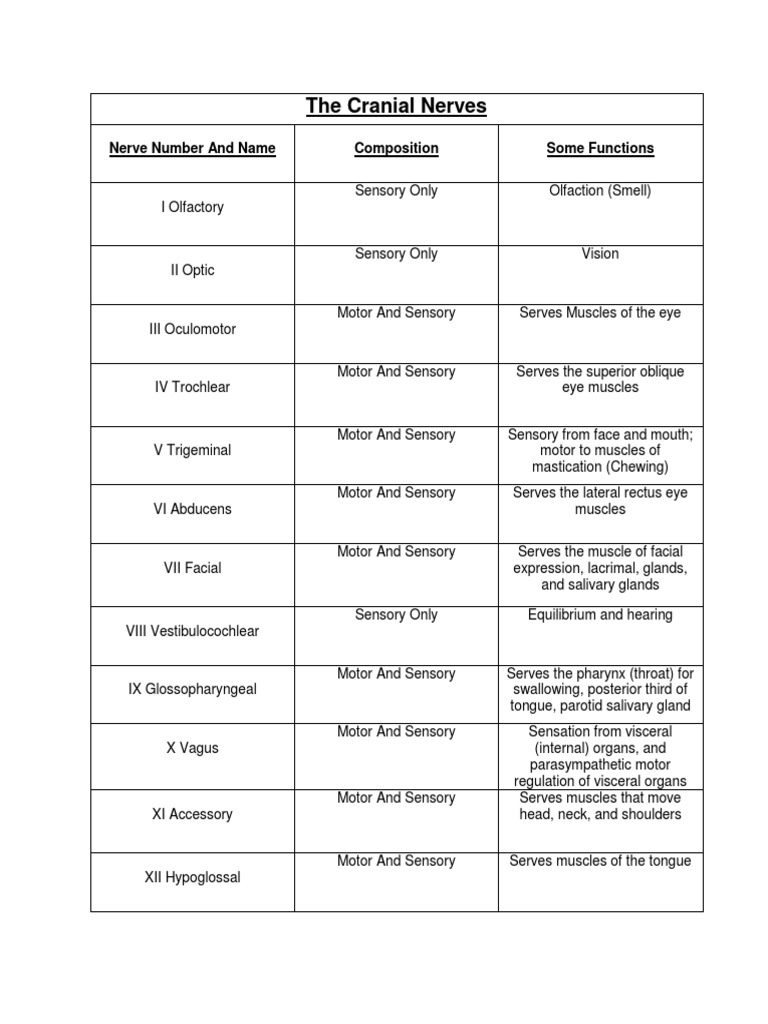 The Cranial Nerves: Nerve Number and Name Composition Some Functions ...