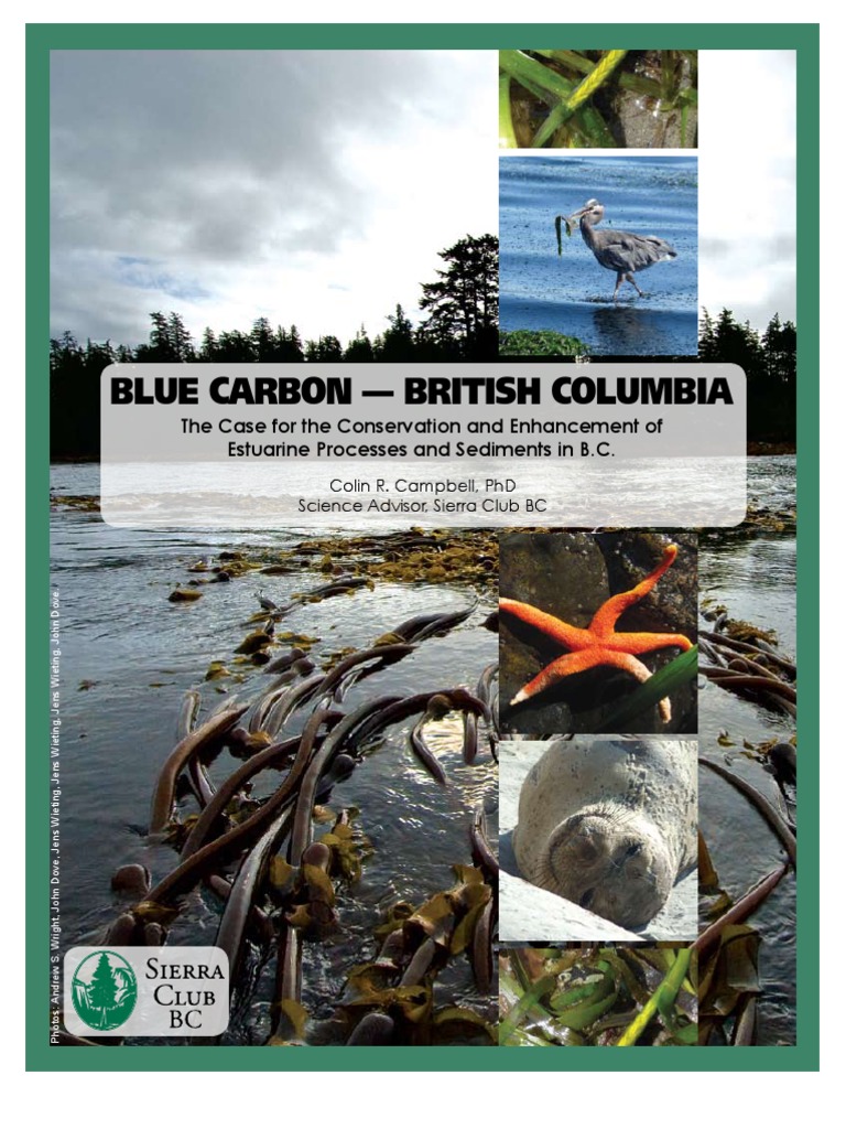 Blue Carbon BC Report Final - Web | PDF | Carbon Sink | Carbon ...