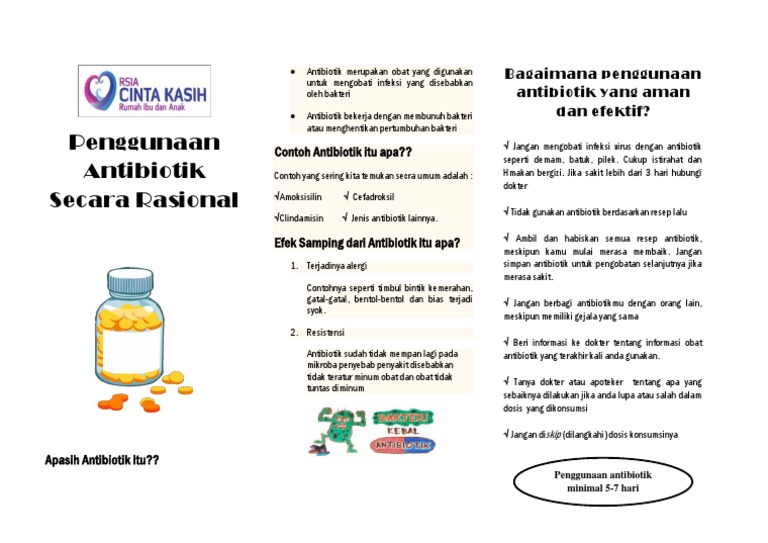LEAFLET Penggunaan Antibiotik Secara Rasional CK | PDF