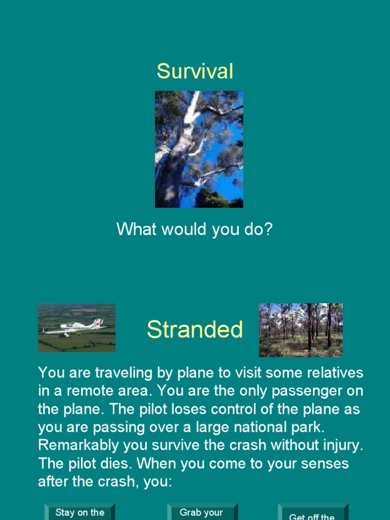Plane Crash Survival Guide | PDF