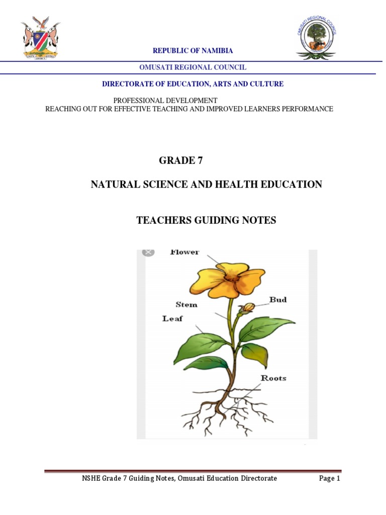 NSHE GRADE 7 Term 1 Fin-1 | PDF | Reproductive System | Enzyme