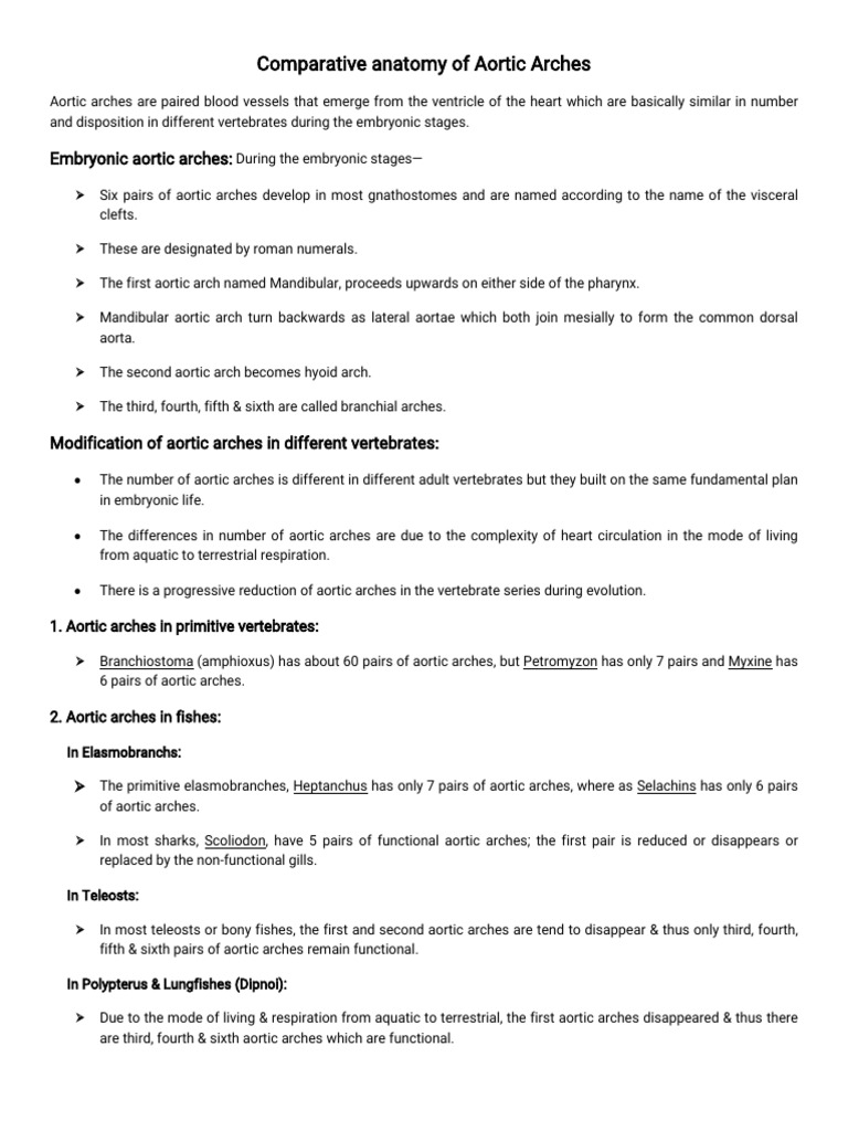 Comparative Anatomy of Aortic Arches | PDF | Nature