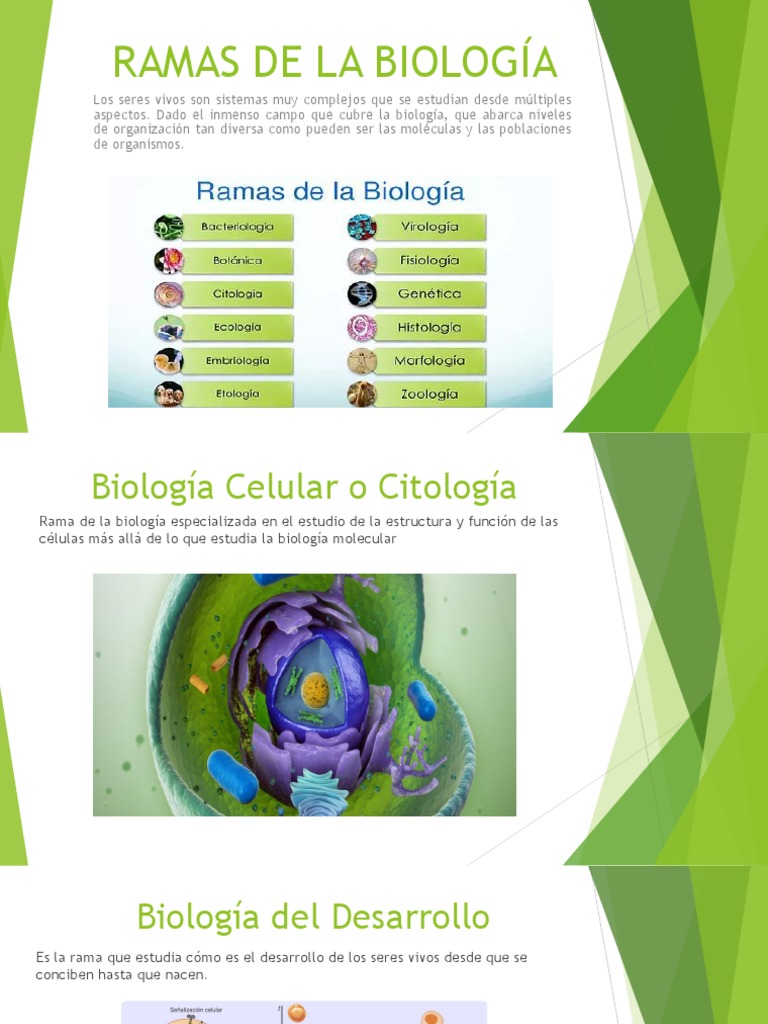 Ramas de la Biología y sus Estudios | PDF | Organismos | Biología