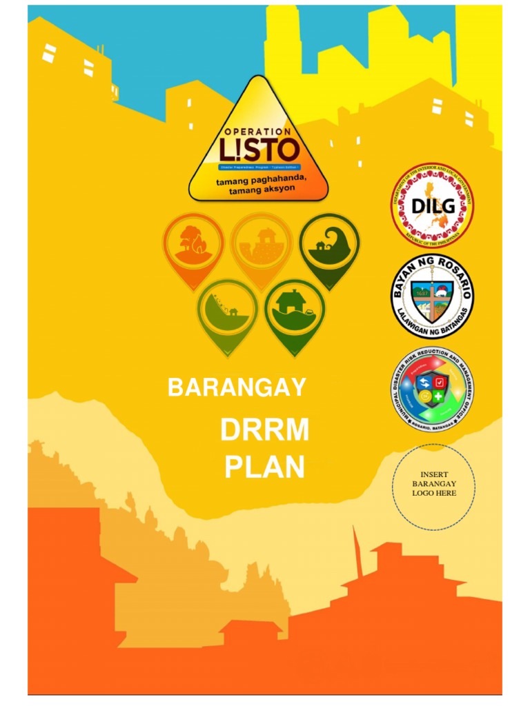 2019 BDRRM Plan | PDF