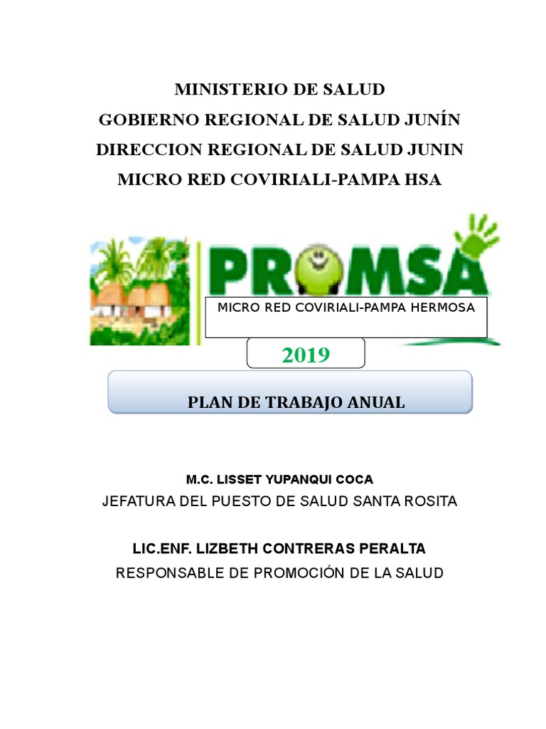 Plan Anual de Promsa 2019 | PDF | Promoción de la salud | Bienestar