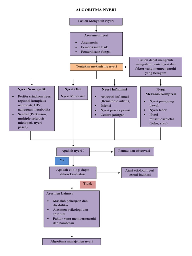 Algoritma Manajemen Nyeri Terintegrasi | PDF