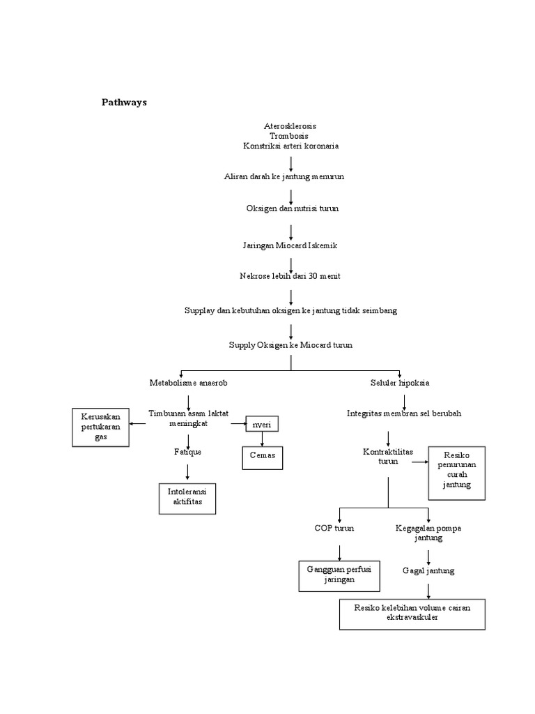 1.pathways STEMI | PDF