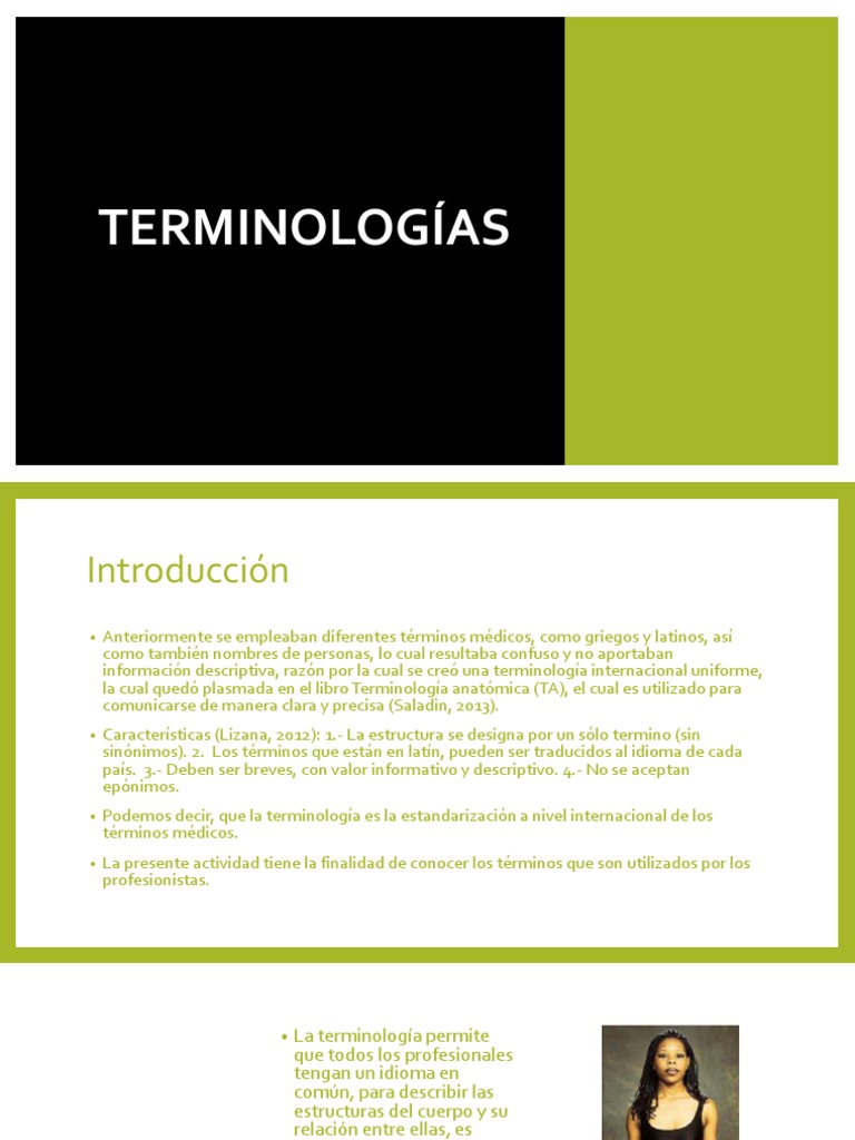 Terminología Anatómica y Términos Direccionales | PDF | Términos ...