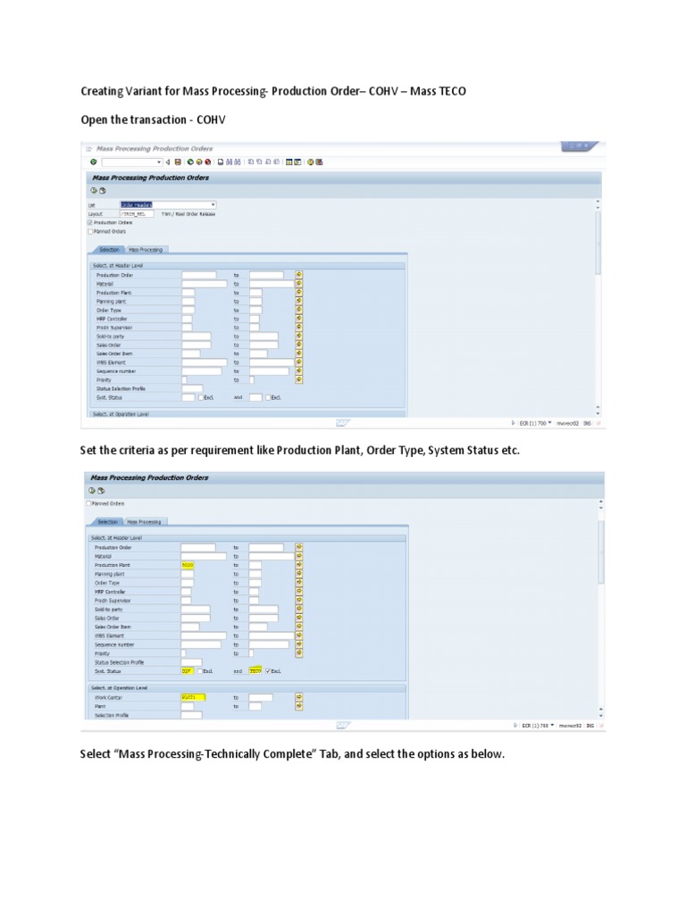 Mass Processing Prod. Order | PDF