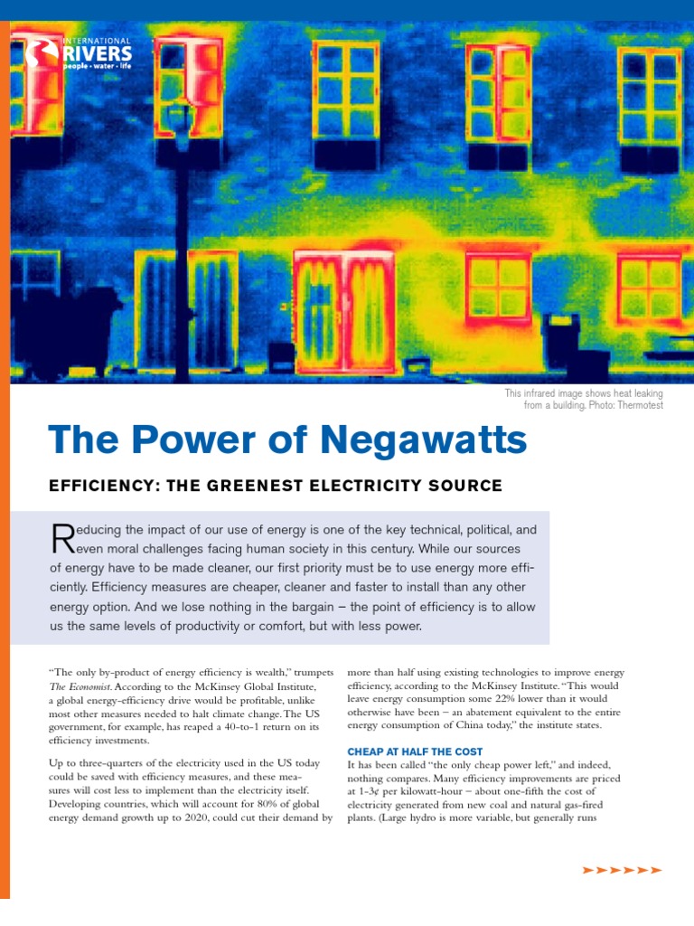 The Power of Negawatts: Efficiency: The Greenest Electricity Source ...