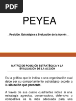 Actividad 2 Ejemplos de Matriz Peyea | PDF