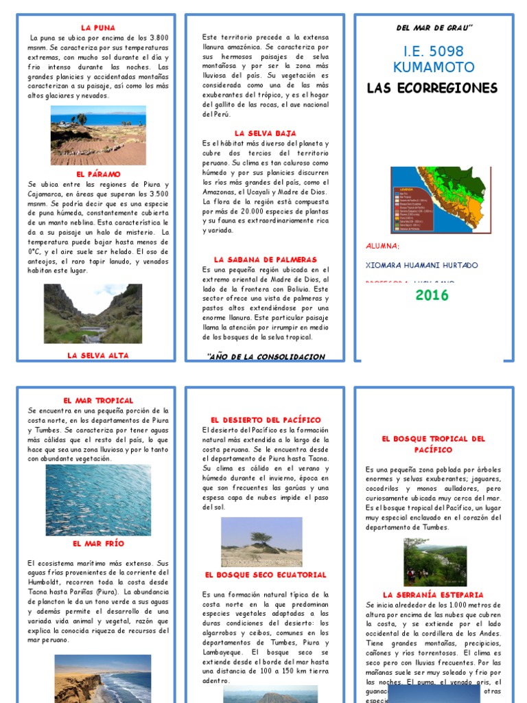 Ecor Region Es | PDF | Selva | Zona tropical