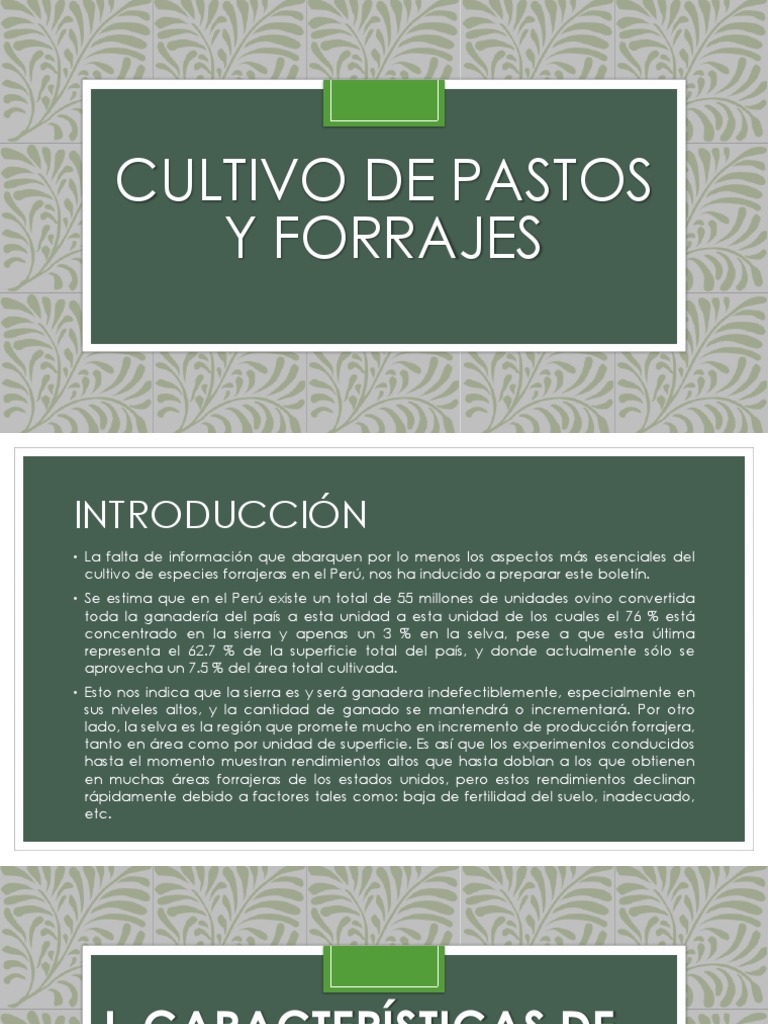 Pastos y Forrajes | PDF | Siembra | Césped
