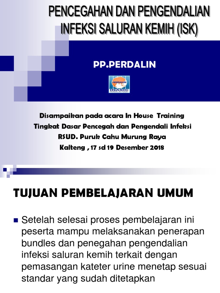 Pencegahan Dan Pengendalian Isk | PDF