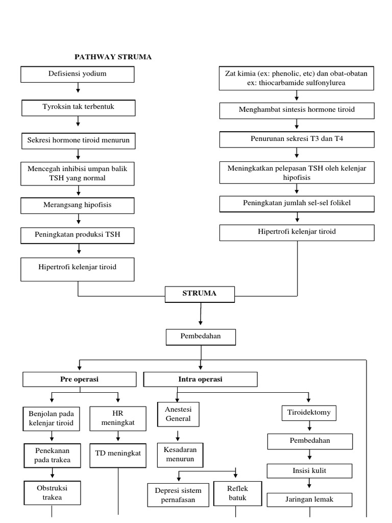Penyebab dan Dampak Struma Tiroid | PDF