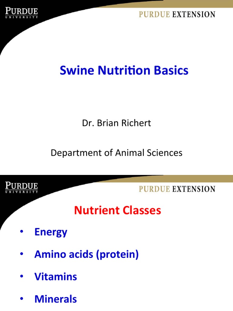 Swine Nutrition Basics | PDF | Essential Nutrients | Nutrients