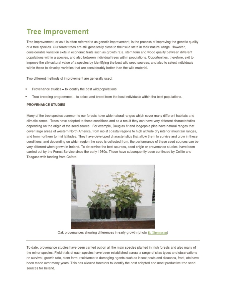 Tree Improvement: Provenance Studies | PDF | Plant Breeding | Selective ...