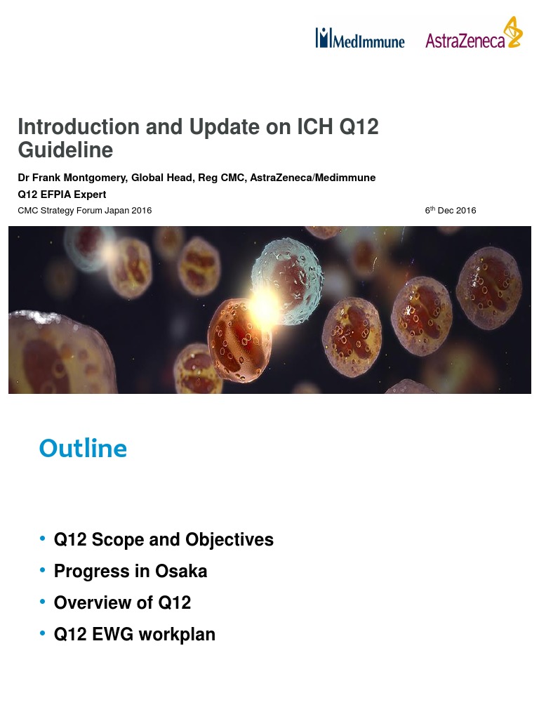 Introduction and Update On ICH Q12 Guideline | PDF | Specification (Technical Standard) | Risk