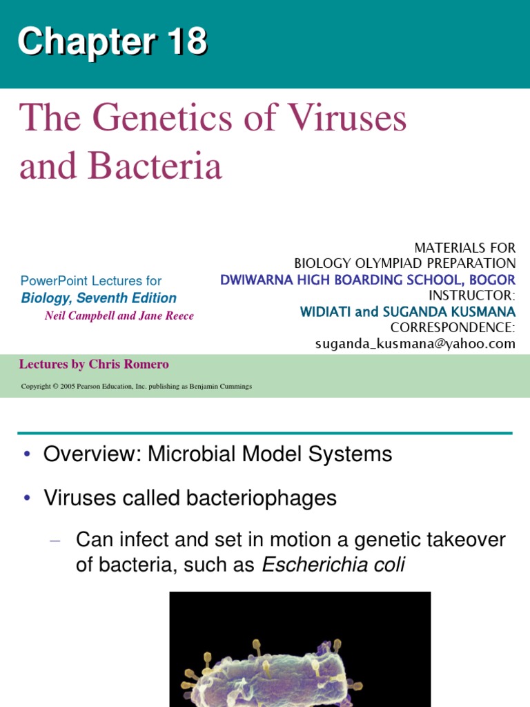 Campbell Chapter 18: The Genetic of Viruses and Bacteria | PDF ...