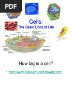 Cell City Worksheet Answer Key | PDF | Cell (Biology) | Cytoplasm