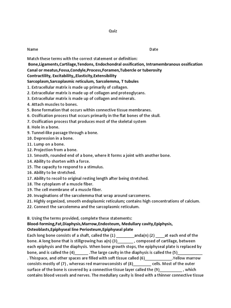 Skeletal and Muscular System Quiz | PDF | Bone | Osteoblast