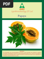 Pechay Growth and Production Guide | PDF | Sowing | Seedling