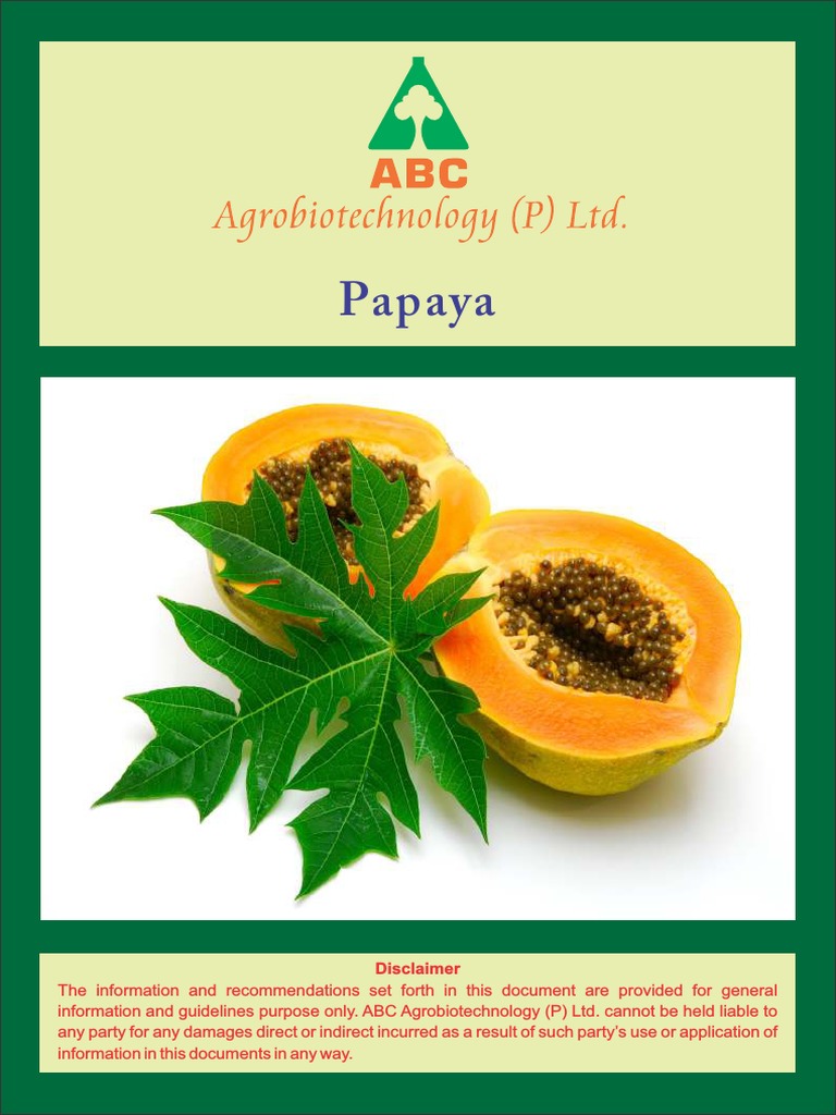 Papaya Scientific Agronomy: A Comprehensive Guide to Optimal Papaya ...