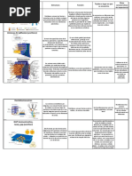 Funcion de Las Uniones GAP en La Union Interceluar | PDF | Biología ...