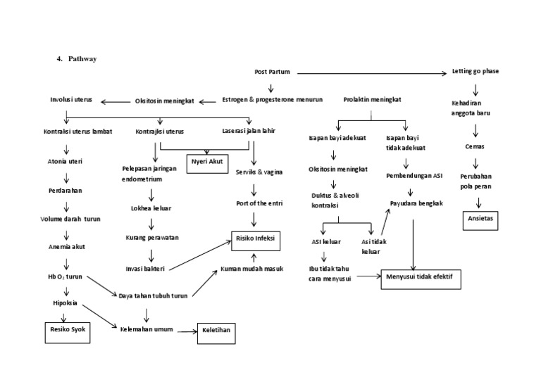 Pathway Post Partumm | PDF