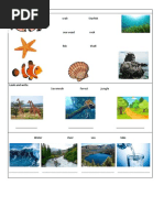 Dictionary Dig | PDF