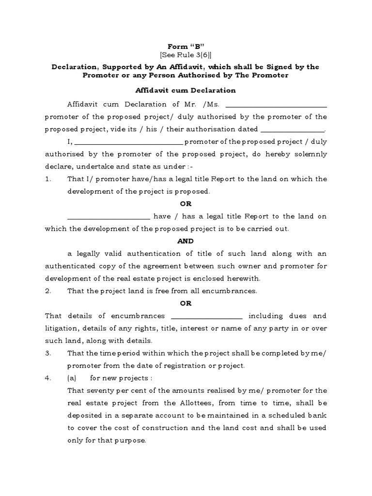 Form B Affidavit | PDF | Accountant | Audit