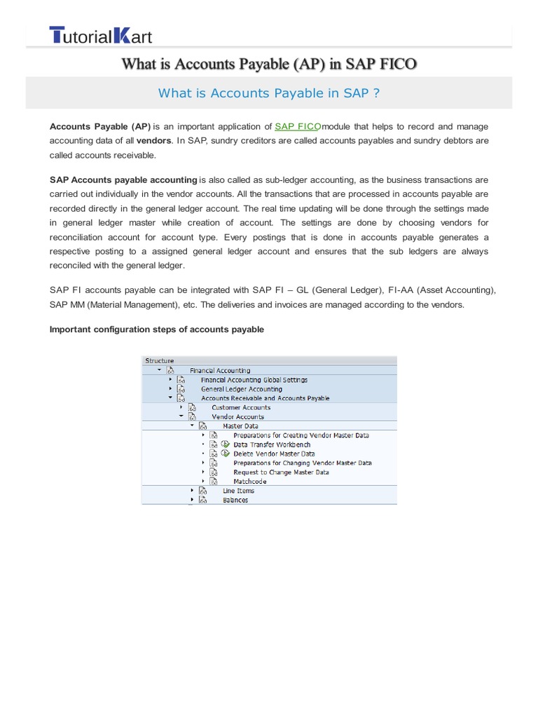 What Is Accounts Payable in Sap Fico | PDF | Accounts Payable | Payments