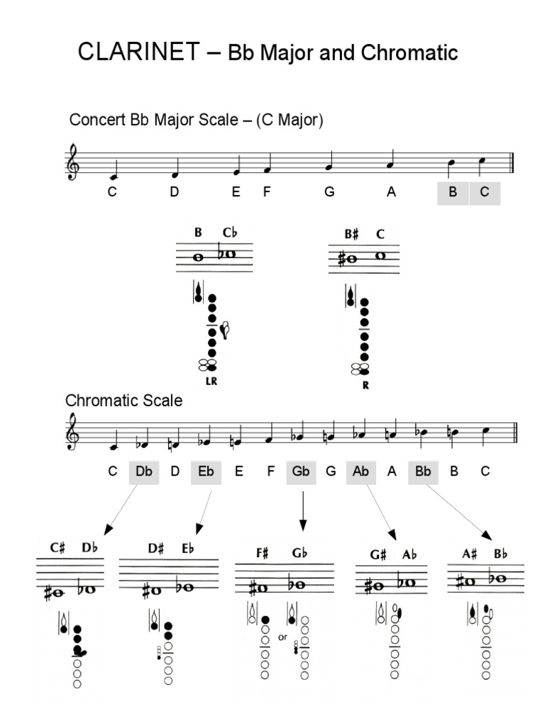 Clarinet Scales for Beginners | PDF