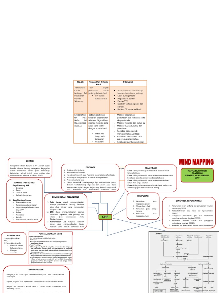 Mind Map CHF | PDF