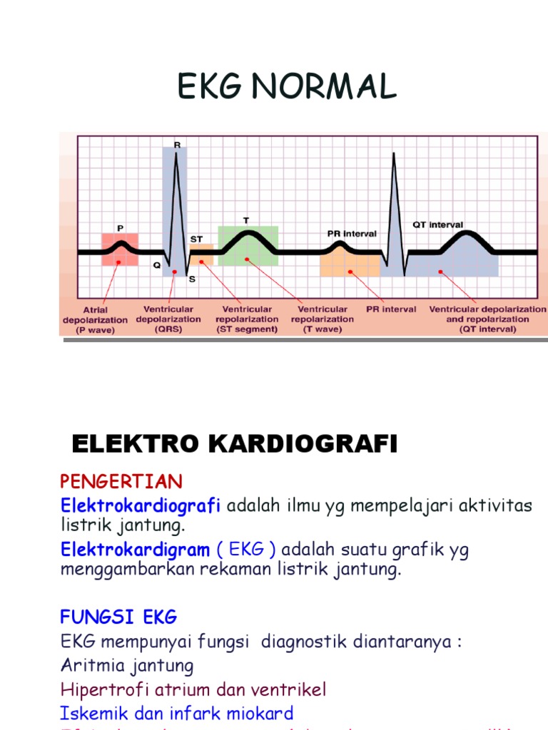 EKG Normal: Panduan dan Penjelasan | PDF