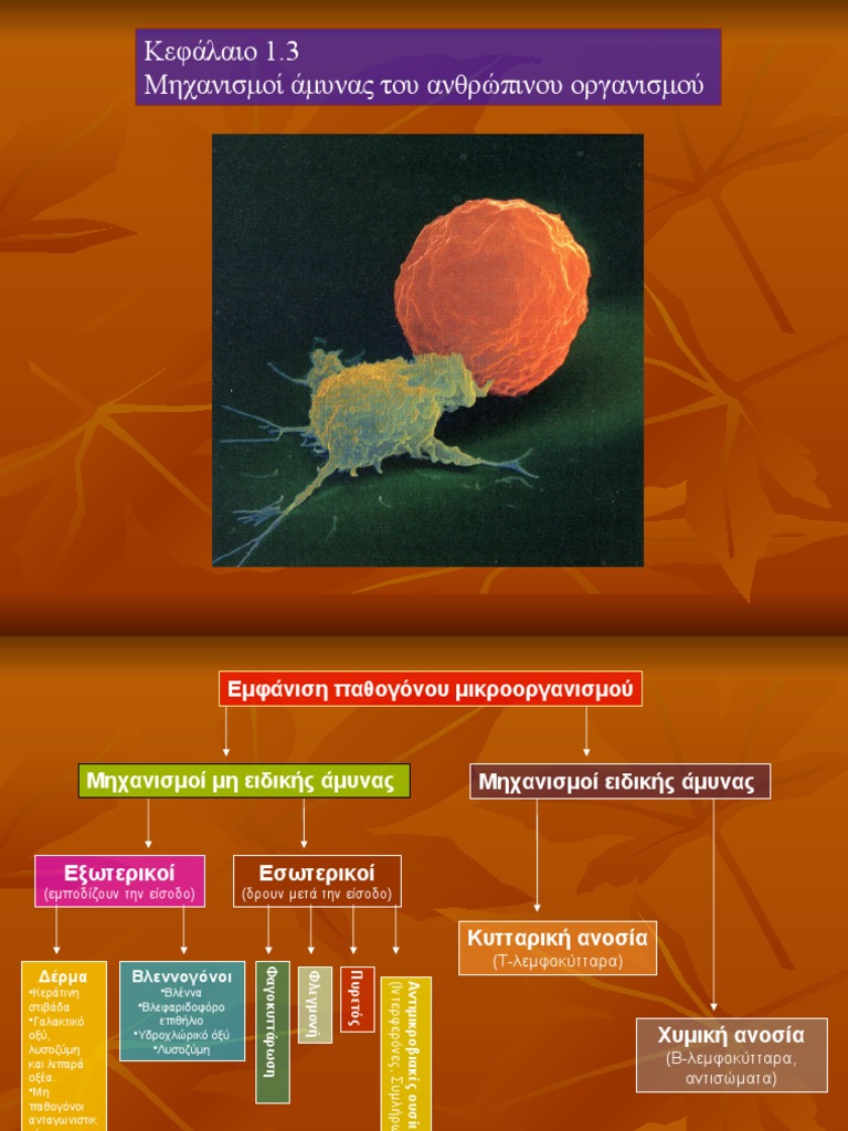 1.3 Μηχανισμοί άμυνας του ανθρώπινου οργανισμού | PDF