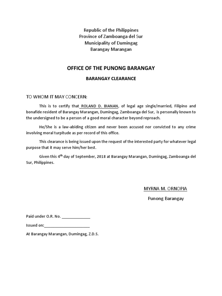 Office of The Punong Barangay | PDF