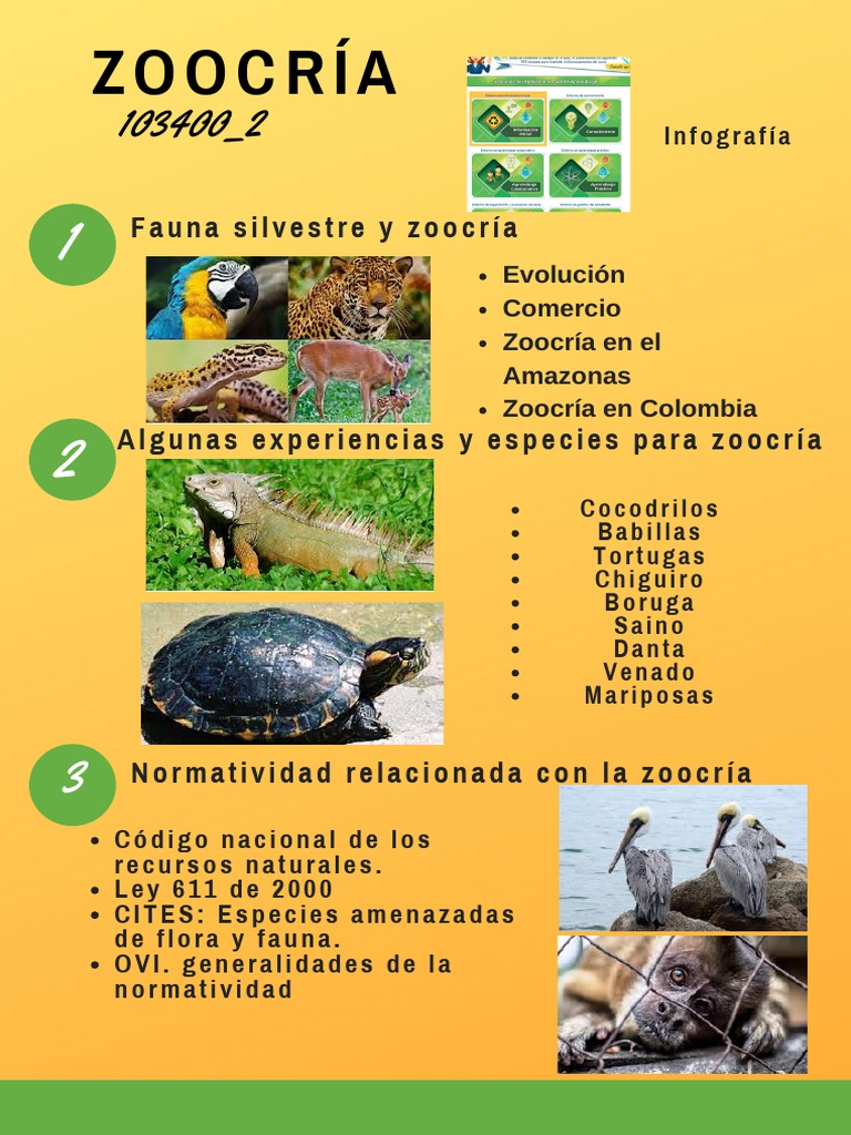 Zoocría | PDF