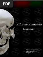 Protocolo ROSE | PDF | Reanimación cardiopulmonar | Medicina