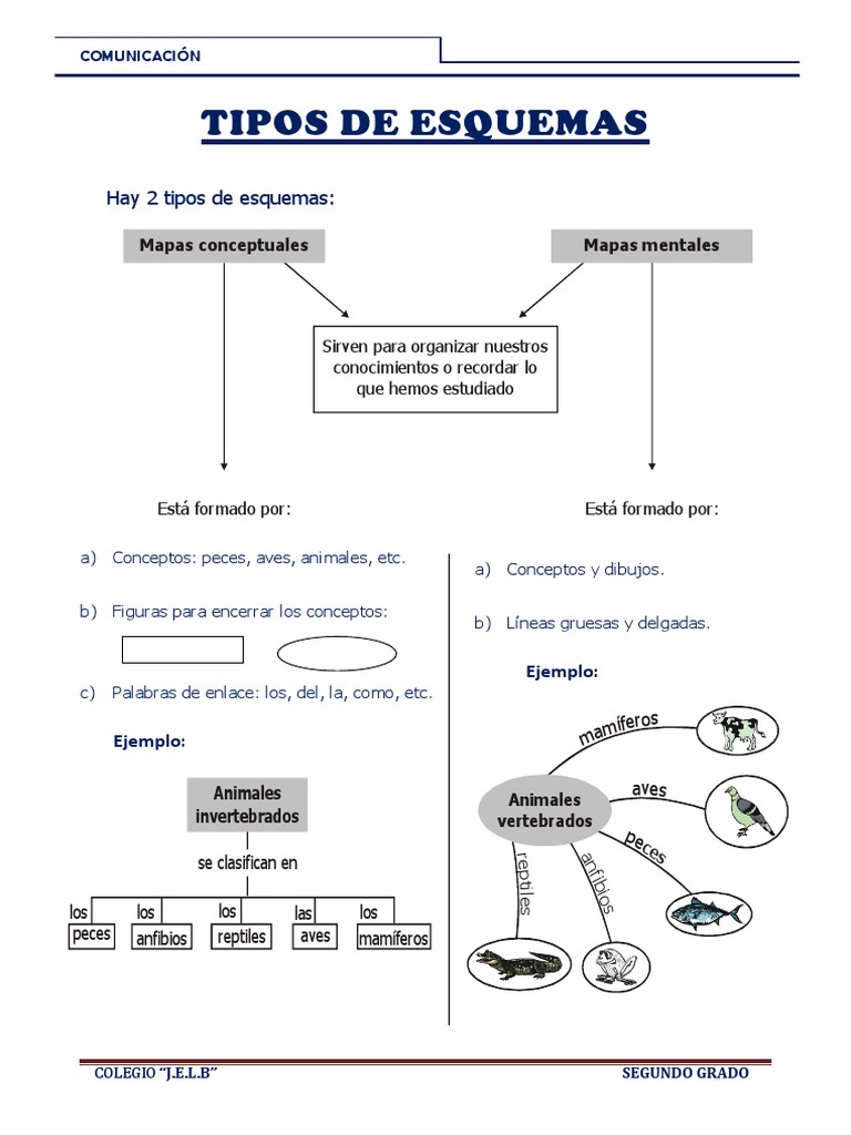 Tipos de Esquemas | PDF | Organismos | Naturaleza