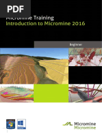 Manual 1 For Datamine RM | PDF | Computer File | Text File