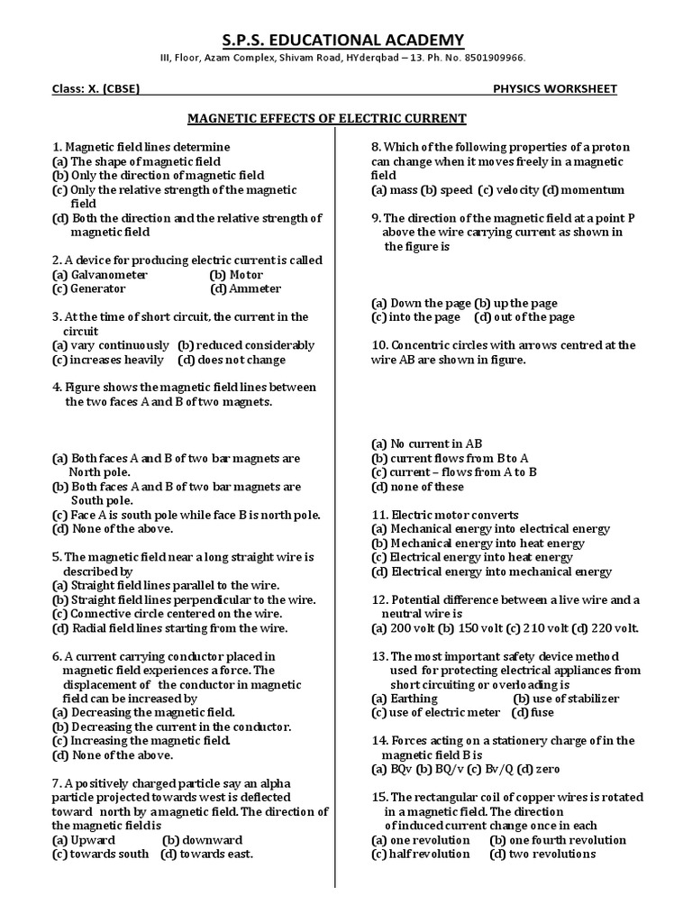 Class X Physics: Magnetism Worksheet | PDF | Magnetic Field | Electric ...