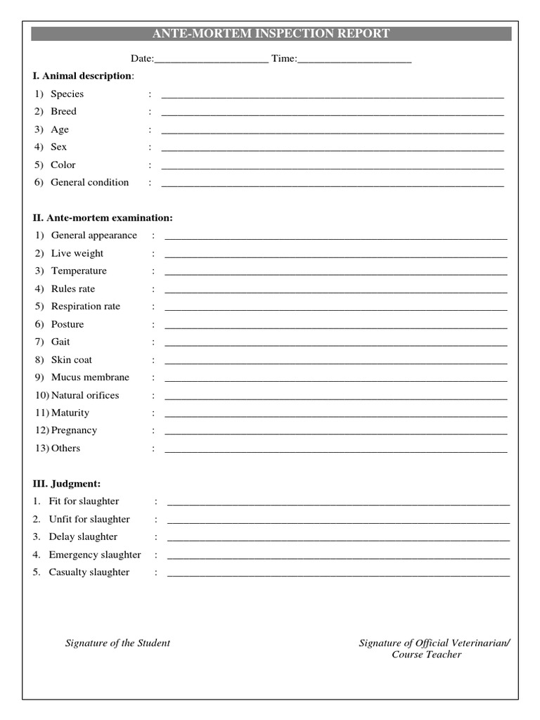 Ante-Mortem Inspection Report: I. Animal Description | PDF | Lymphatic ...